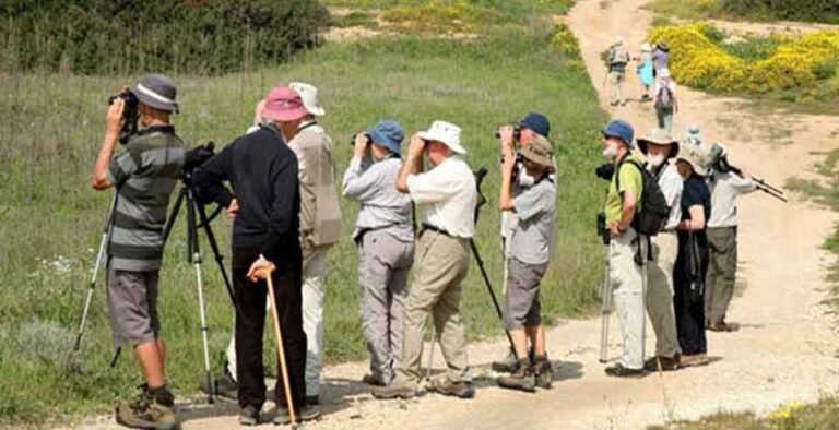 Bird Watching in Cyprus-Our Way of Life in Cyprus