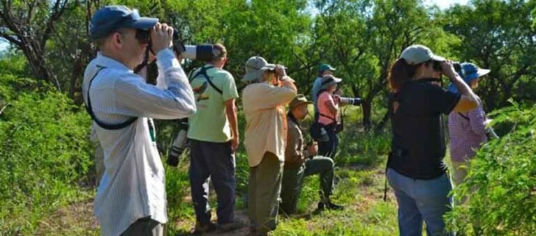 Bird Watching in Cyprus-Our Way of Life in Cyprus