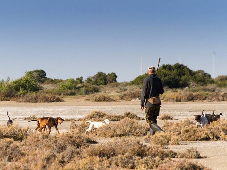 Hunting in Cyprus-Our Way of Life in Cyprus